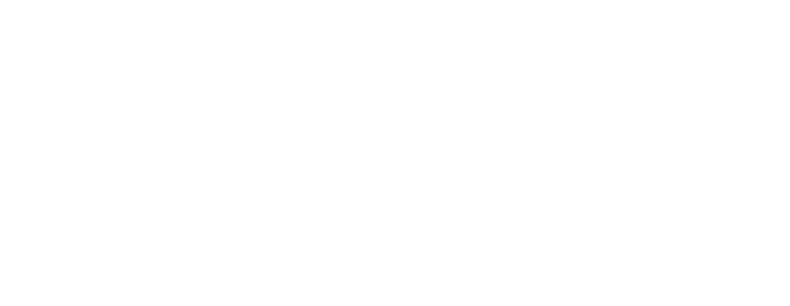 VoidDash